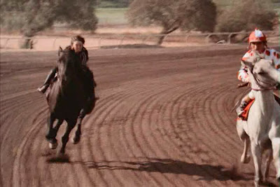 TELA DE CINEMA: O CORCEL NEGRO (Dublado) - 1979