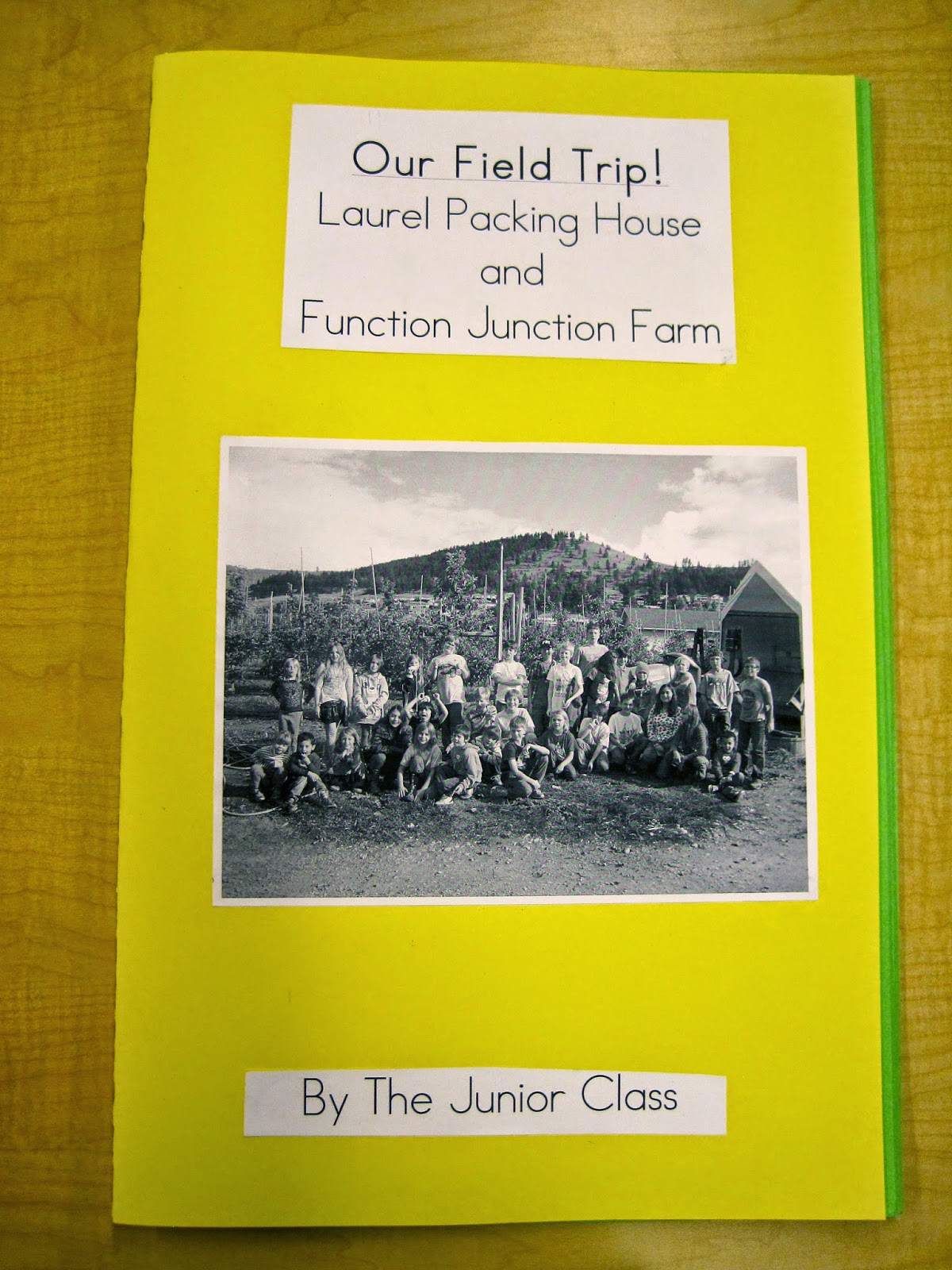 Ms. Liebel's Classroom: Field Trip Review