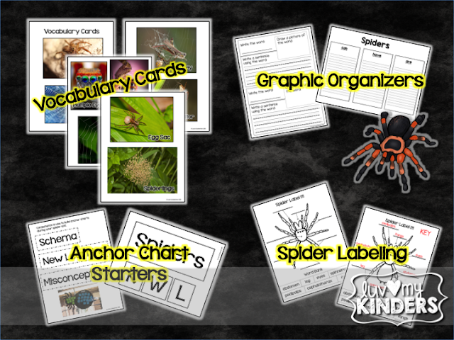 Luv My Kinders: Creepy, Crawly, Spiders!