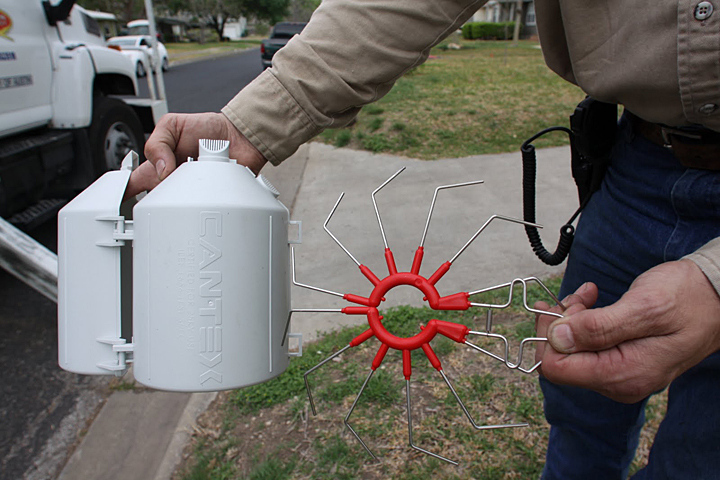 Austin Energy: Squirrels Impact Electric System Reliability in Austin