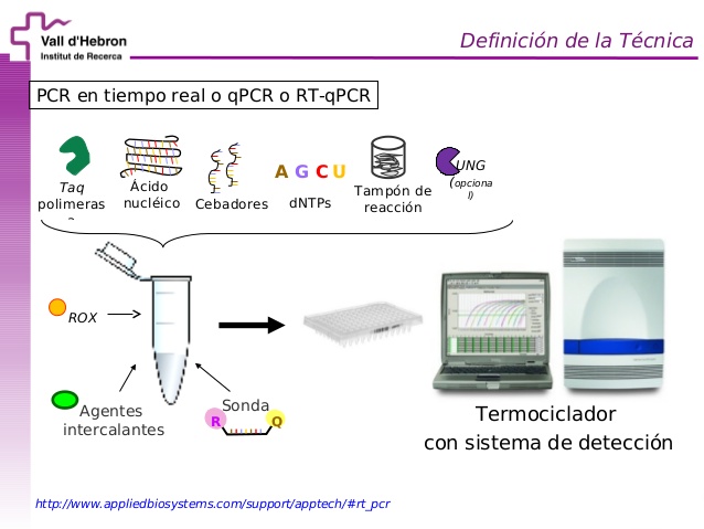Enfermedades Isquémicas del Corazón: Prueba de PCR para enfermedad ...