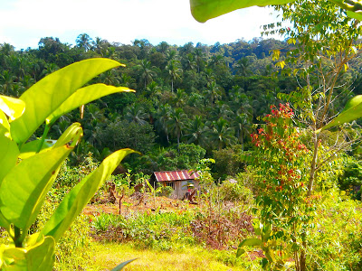 Health Empowerment and Action in Leyte and Samar: General MacArthur ...