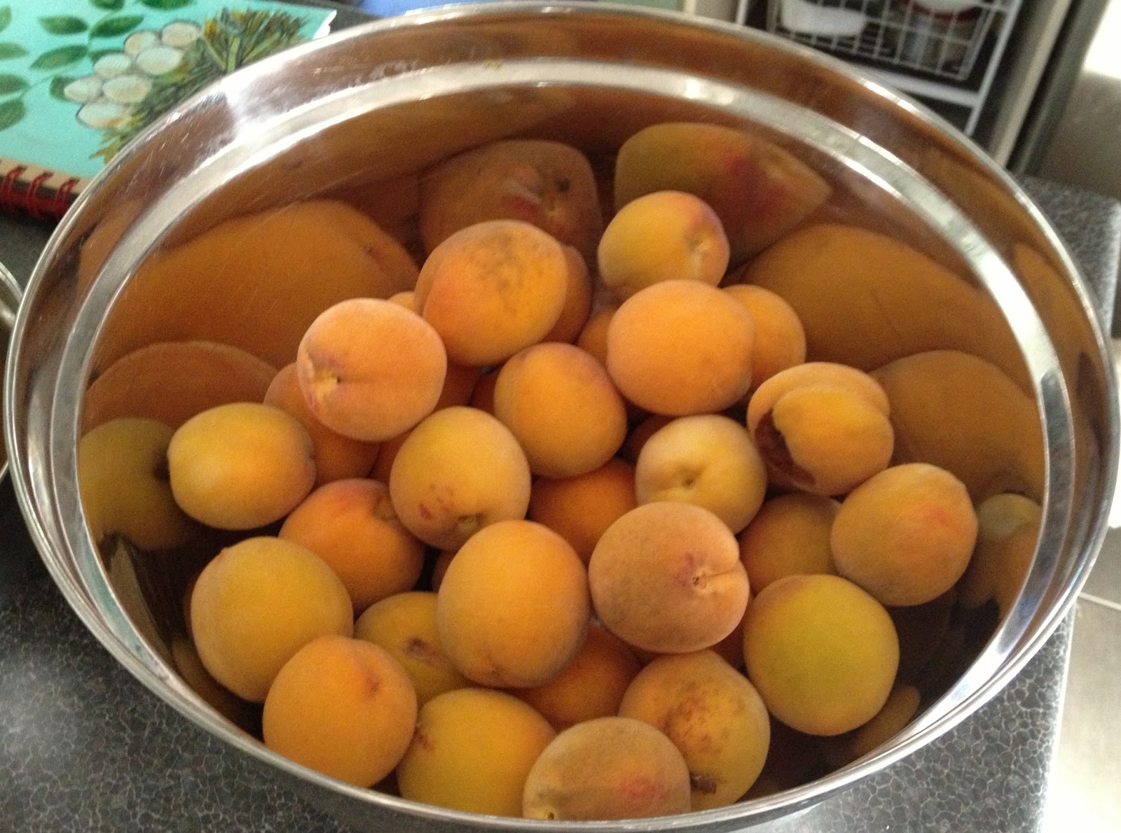 Little Peaches and Nectarines - The Greening of Gavin