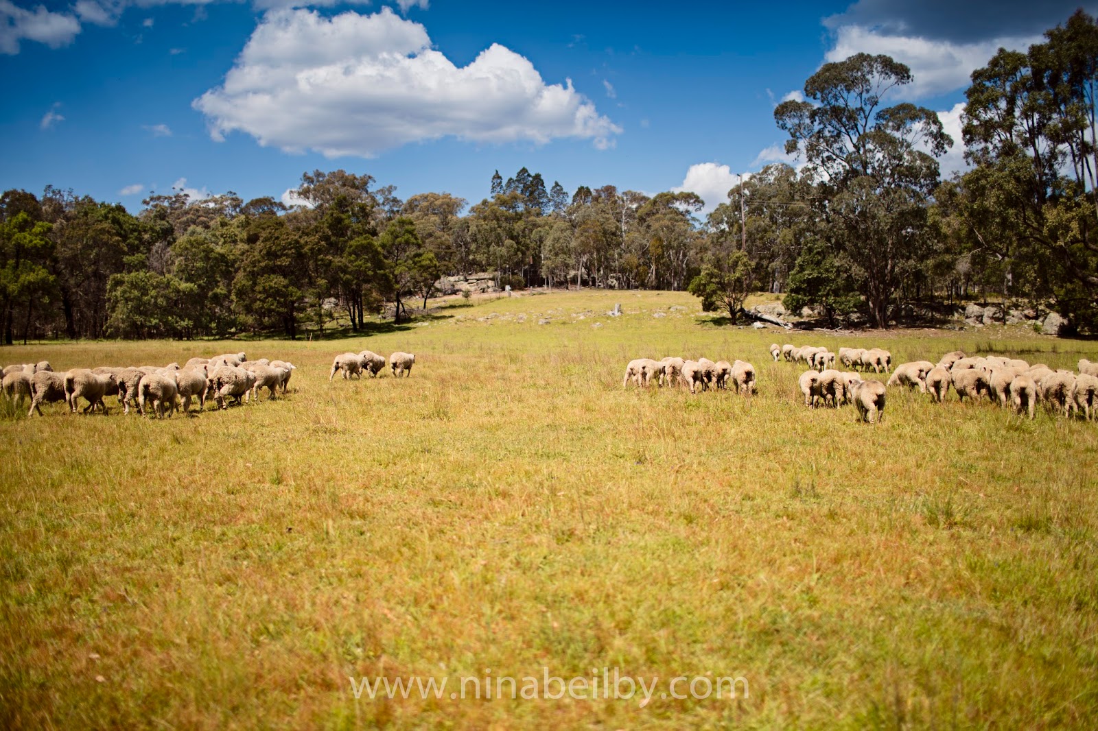 Rustic Australian Countryside - The small town of Rylstone