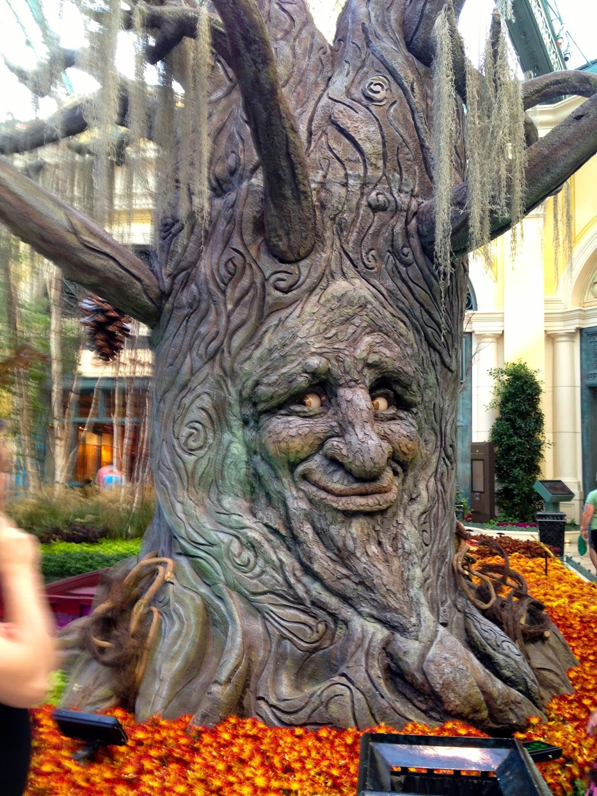 Adventures of a Middle-Aged Drama Queen: Viva Las Vegas!