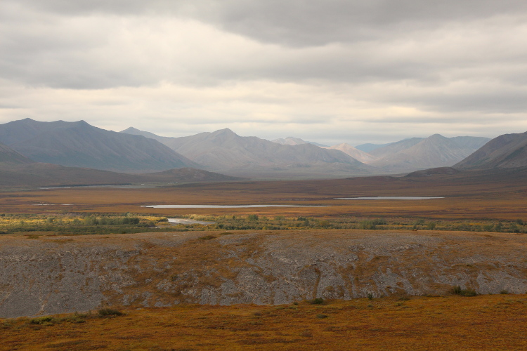 Western Arctic National Parklands Residency Day 9: Wilderness