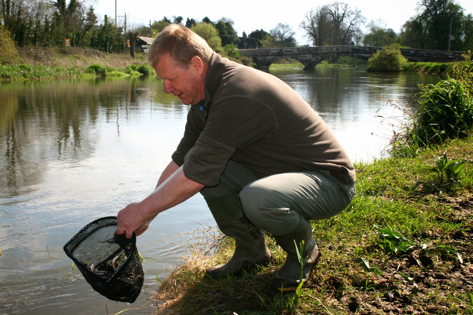 Avon Roach Project: April 2014 Roach Release