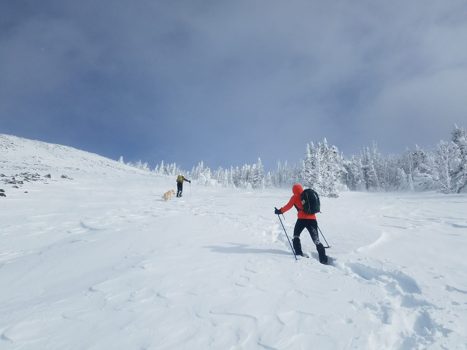 Crow Peak in the Snow - Montana Mountain Project