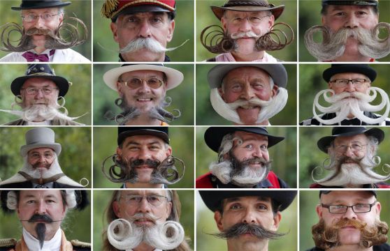 El Remolinero: HISTORIAS DE BIGOTES