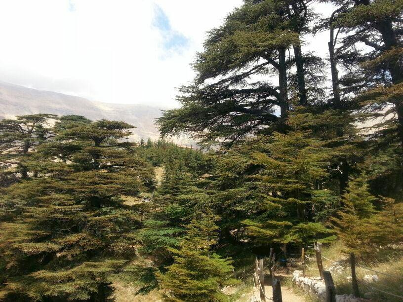 EDUCEIN. Paisajes de Fenicia