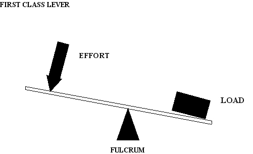 Art & Leadership: Focus on the Fulcrum