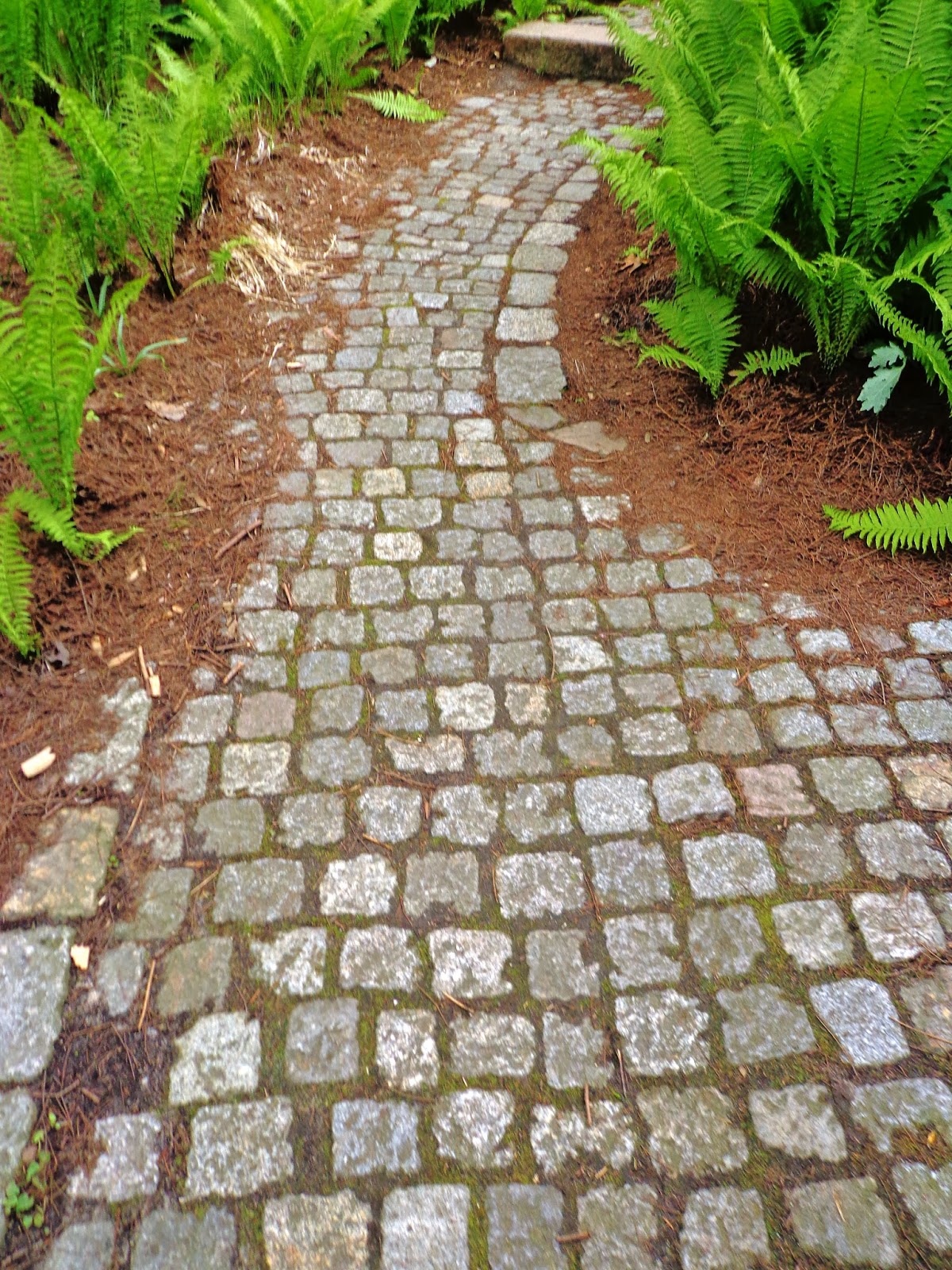Prairiebreak: Stone pathways in European botanic gardens...