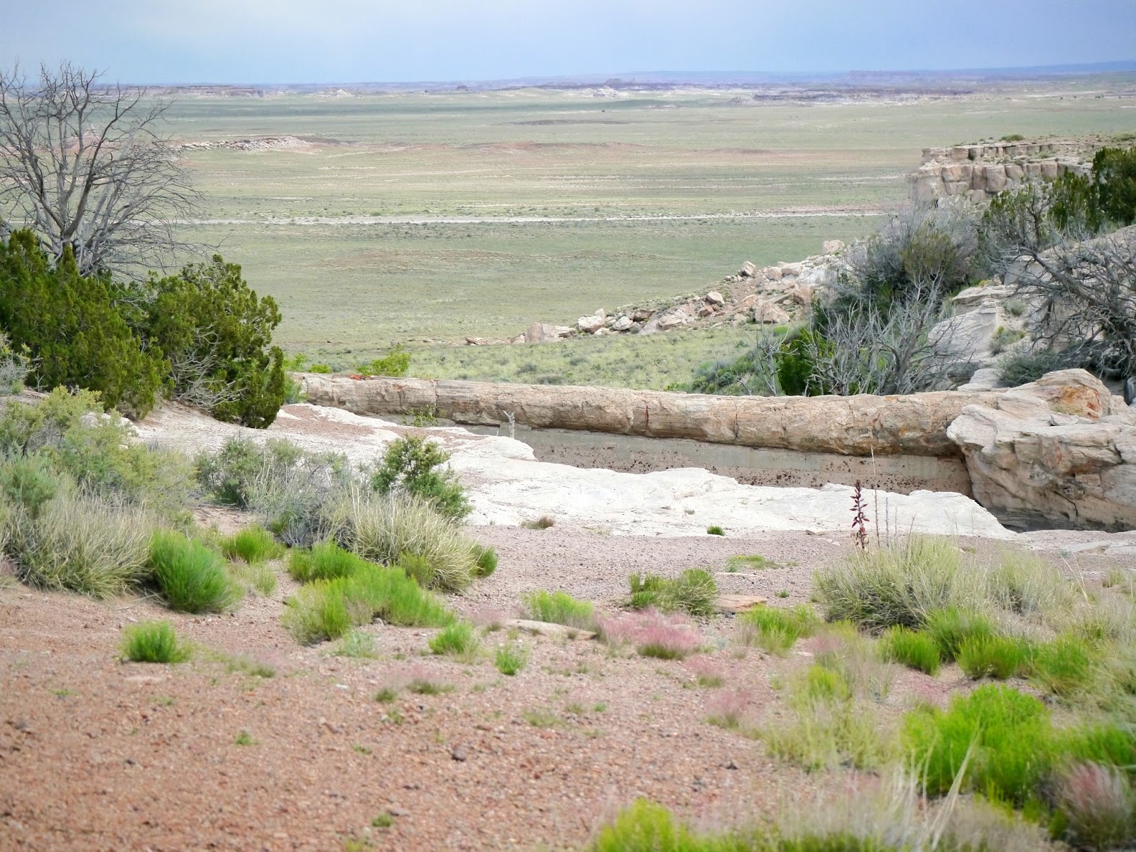 American Travel Journal: Agate Bridge - Petrified Forest National Park