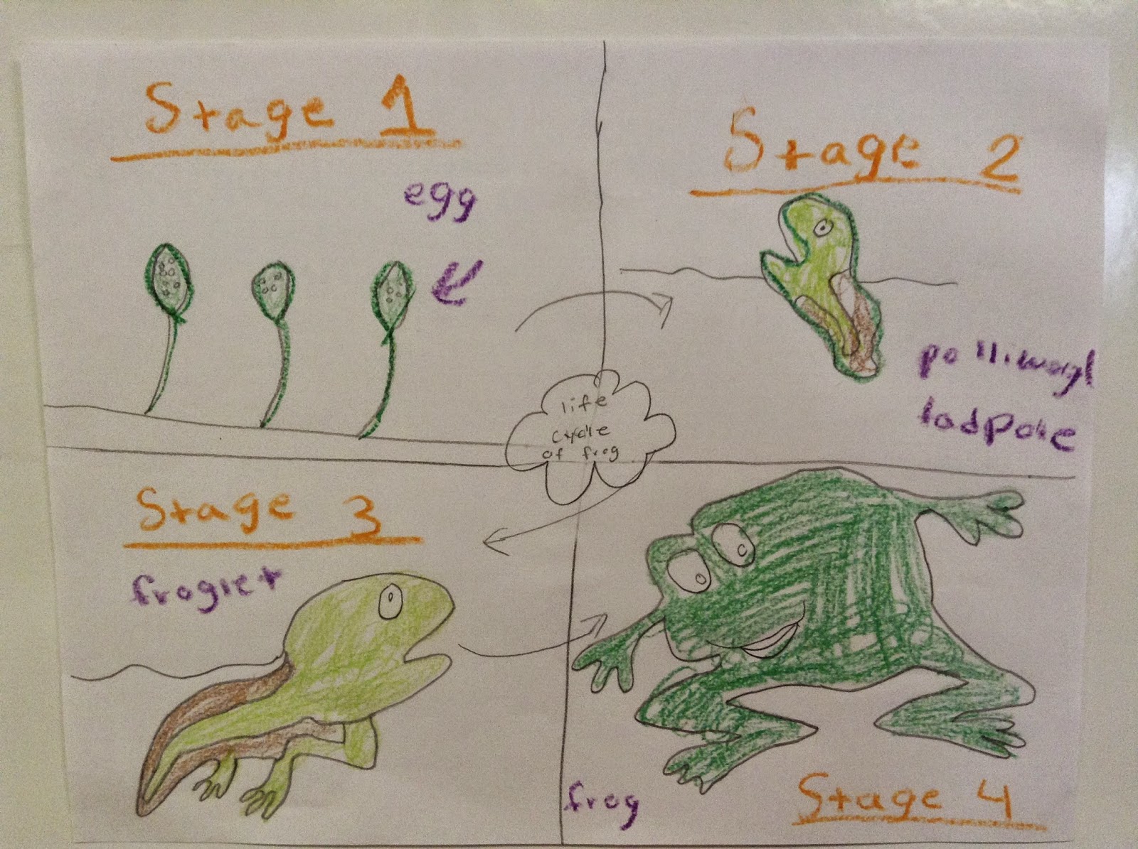 Grasty's 2nd Grade Goodies: The Caterpillar and the Polliwog