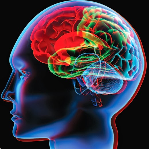 E-SCIENCE LEARNING: PSIHICUL UMAN