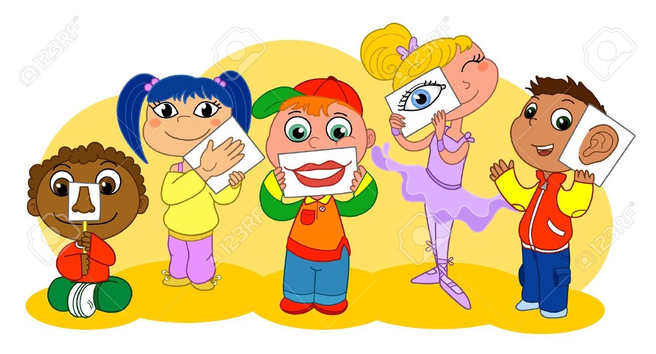 Quieres Saber Sobre Tus Sentidos!!!: Los 5 Sentidos