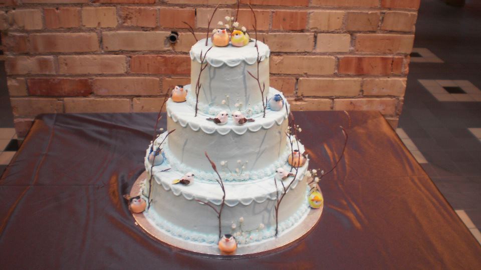 LDS Cultural Hall Weddings: How to Plan a Wedding for $3,000! Cake