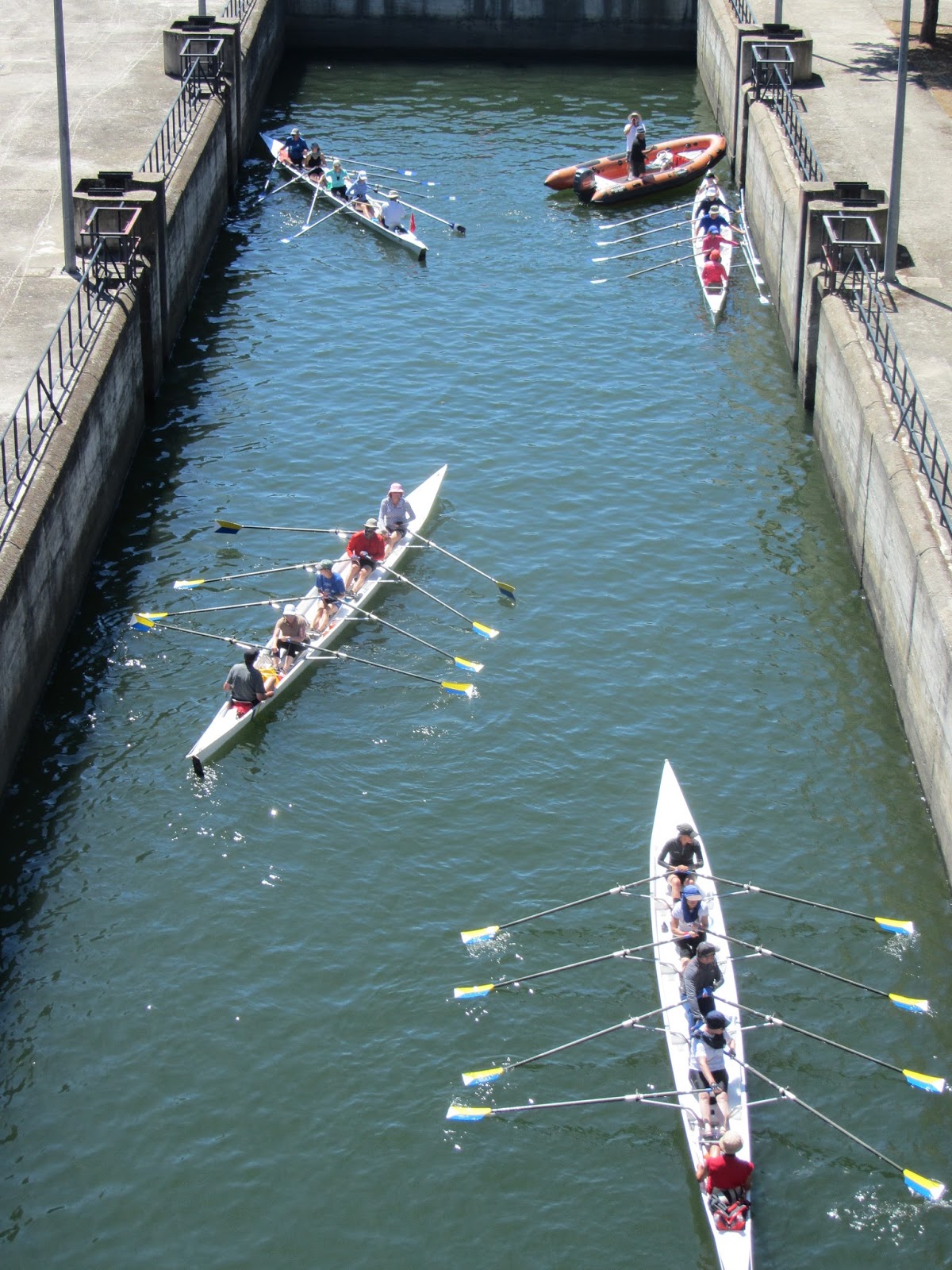 Portugal Rowing Tour: PRT Douro 2015 - Dia / Day 2