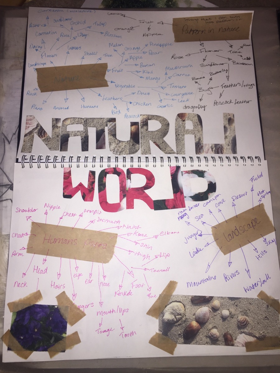 Art and Design Level 3: Project: Natural World Mind Map