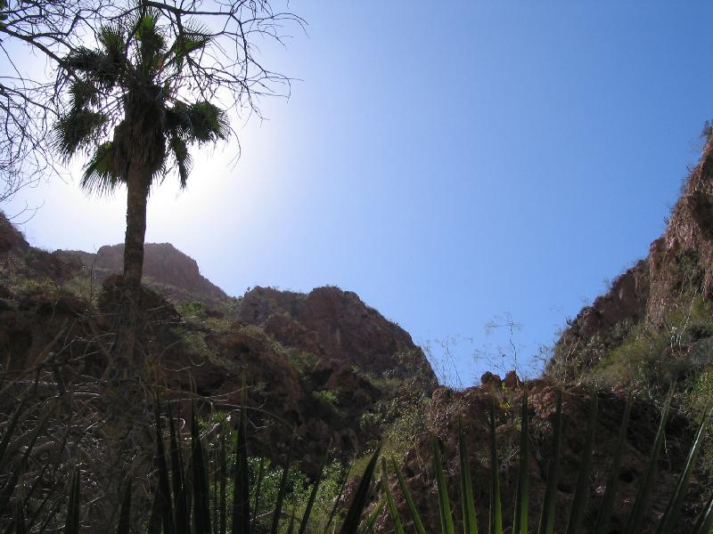 sancarlosfortin: nacapule en san carlos sonora