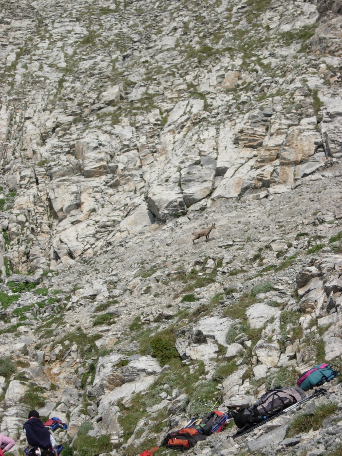ELIAS TSIKAS - ΟΡΕΙΒΑΤΙΚΟ ΗΜΕΡΟΛΟΓΙΟ: Mount Olympus 2919m - Greece 2006