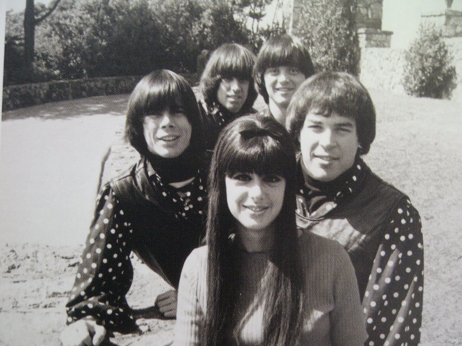 The Vejtables - Alchetron, The Free Social Encyclopedia