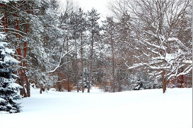 Academic Help: Detailed Critical Analysis of Robert Frost's "Desert Places"