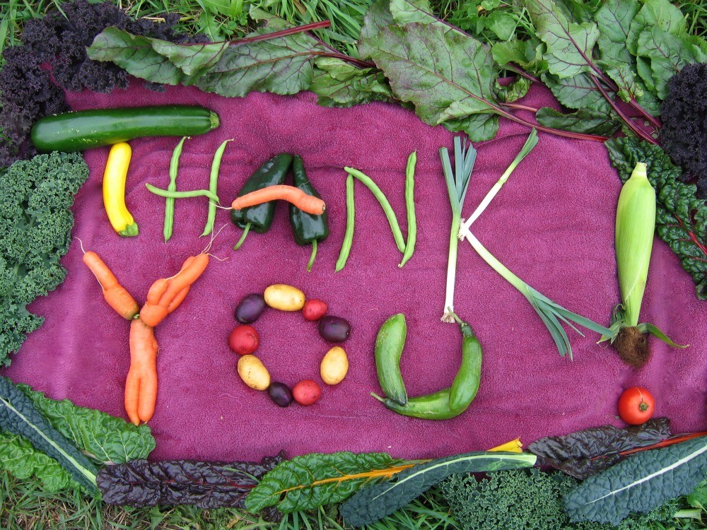 The Low Carb Diabetic: Taking Time To Say Thank You