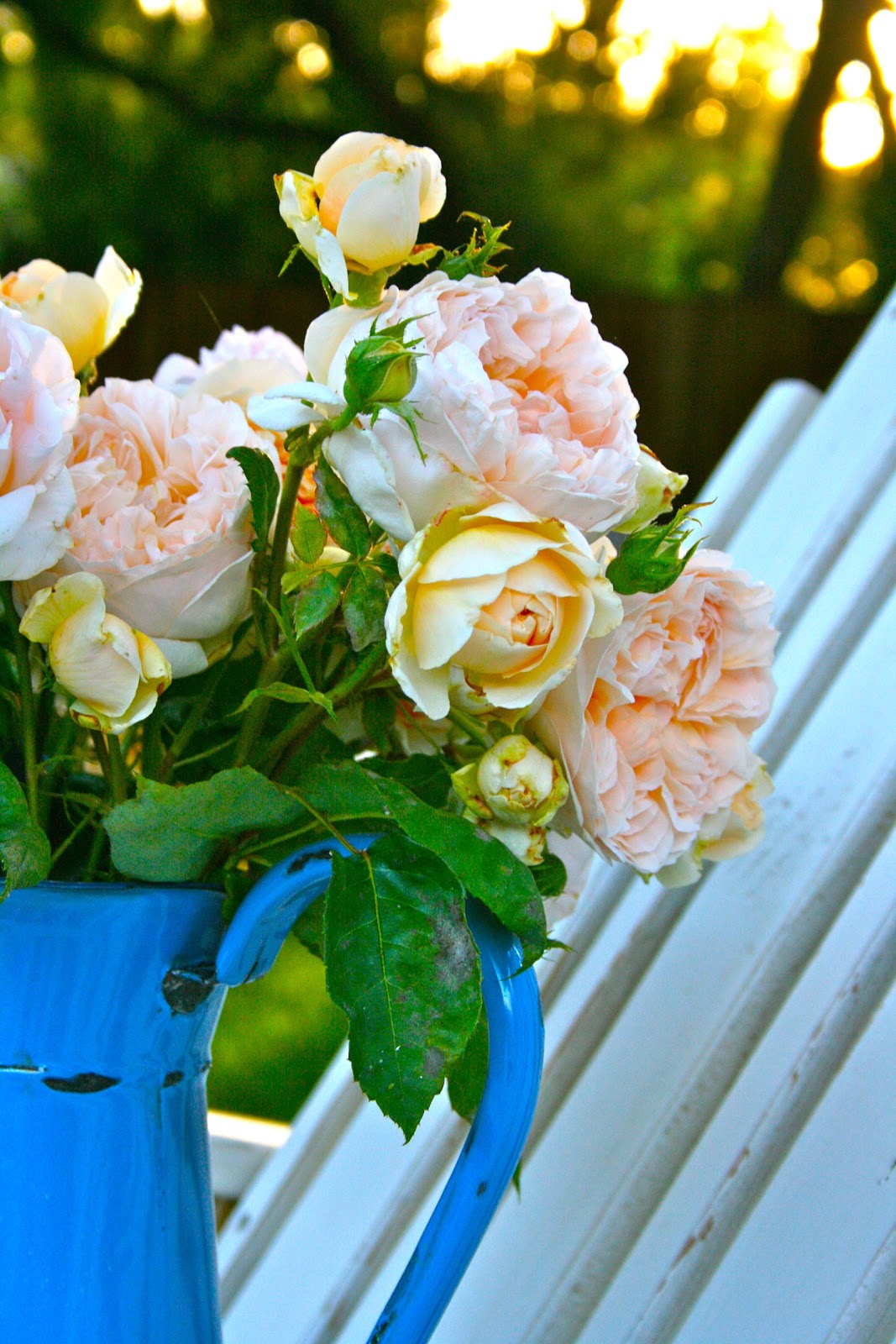 The Polished Pebble: The First Roses of Spring