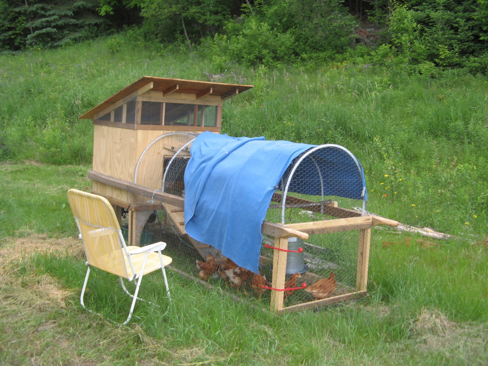 Animal Instinct: Barn & Chicken Tractor Views