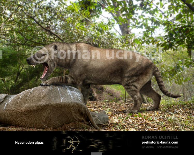 Palaeos, la historia de la Vida en la Tierra: ¿Fósiles vivientes?
