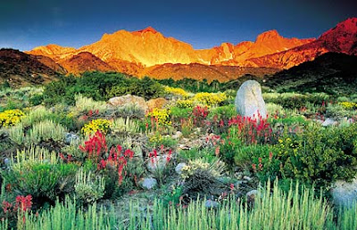 Beautiful Daze blog. : Galen Rowell