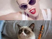 Mundo Pelusa.: Grumpy Cat.