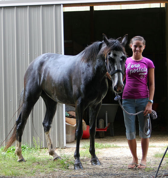 The Horsemeister Blog: Do IT For the Mare