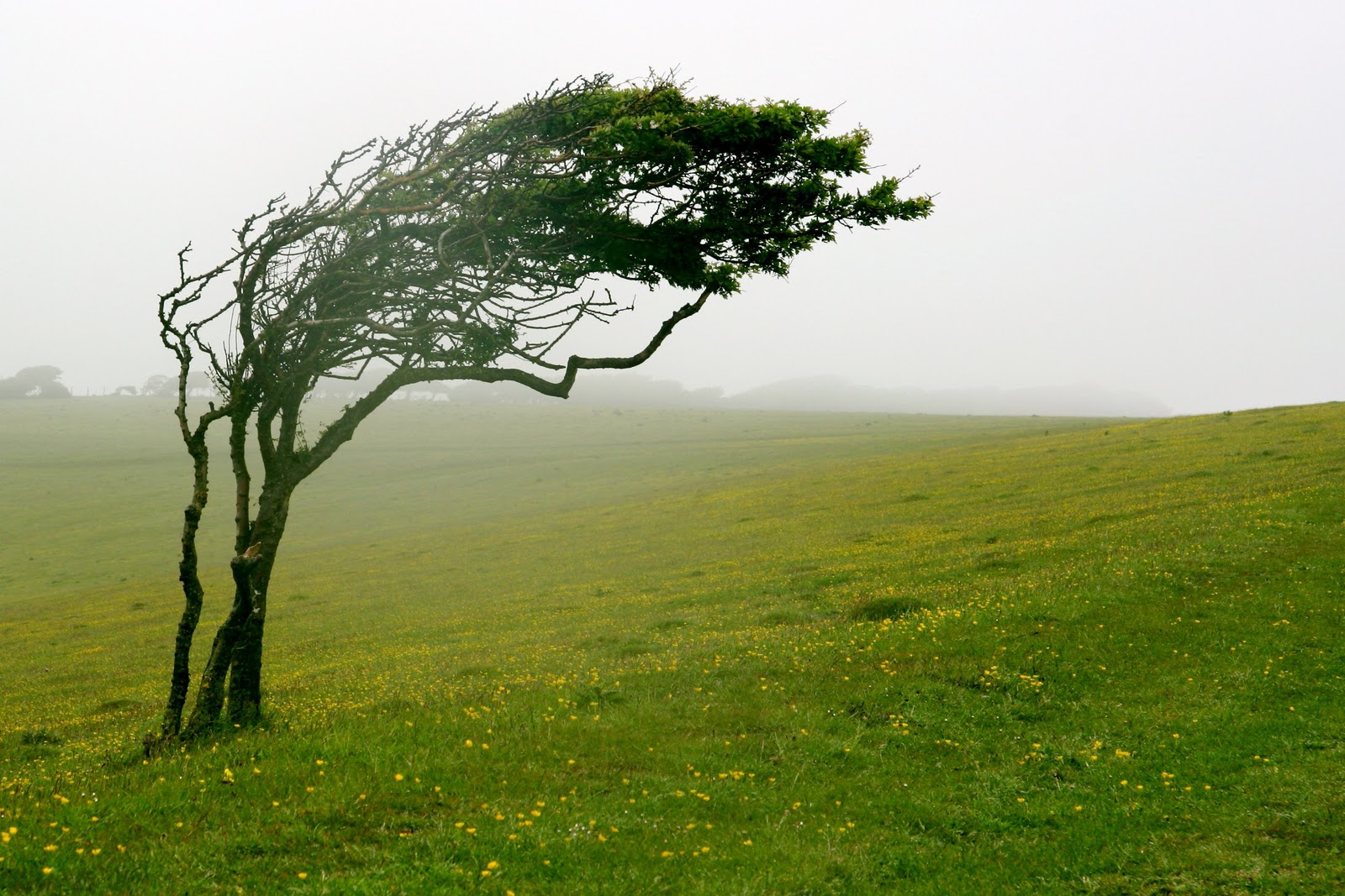 My One and Only Life