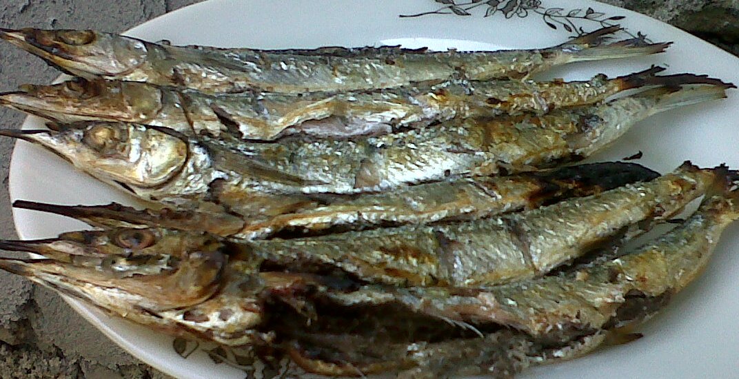 Mengenal jenis jenis ikan laut yang merakyat di kalangan orang Manado