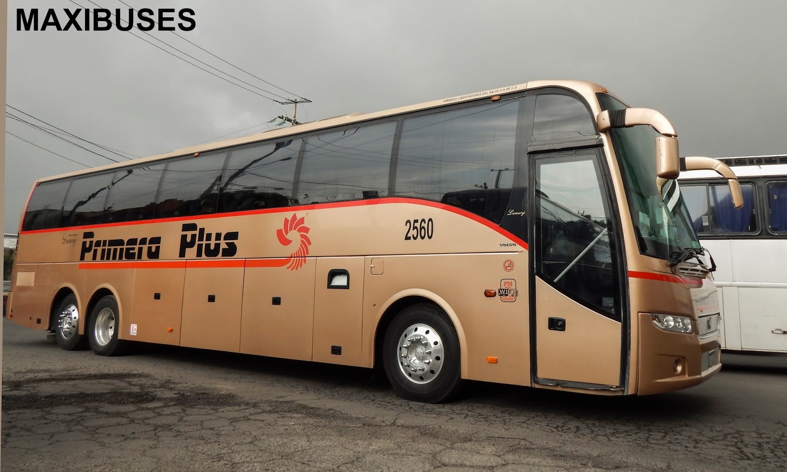 MAXIBUSES: PRIMERA PLUS