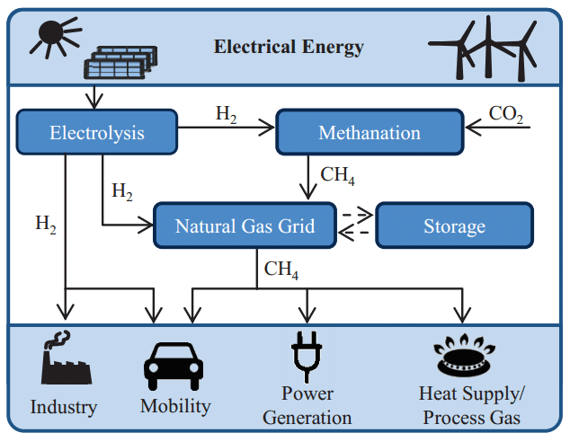 Volewica: The what and when of P2G