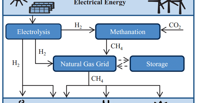 Volewica: The what and when of P2G