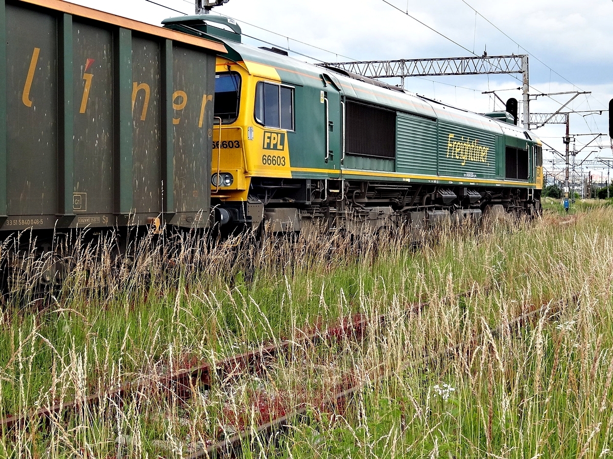 Firmowy pociąg FPL na stacji Kielce Herbskie: Class 66604 z węglarkami ...
