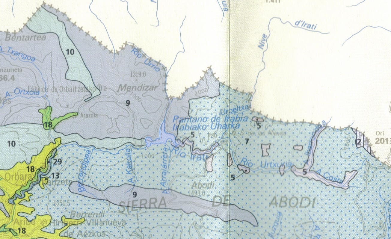 Selva de Irati: FLORA: Algo más que un bosque de hayas