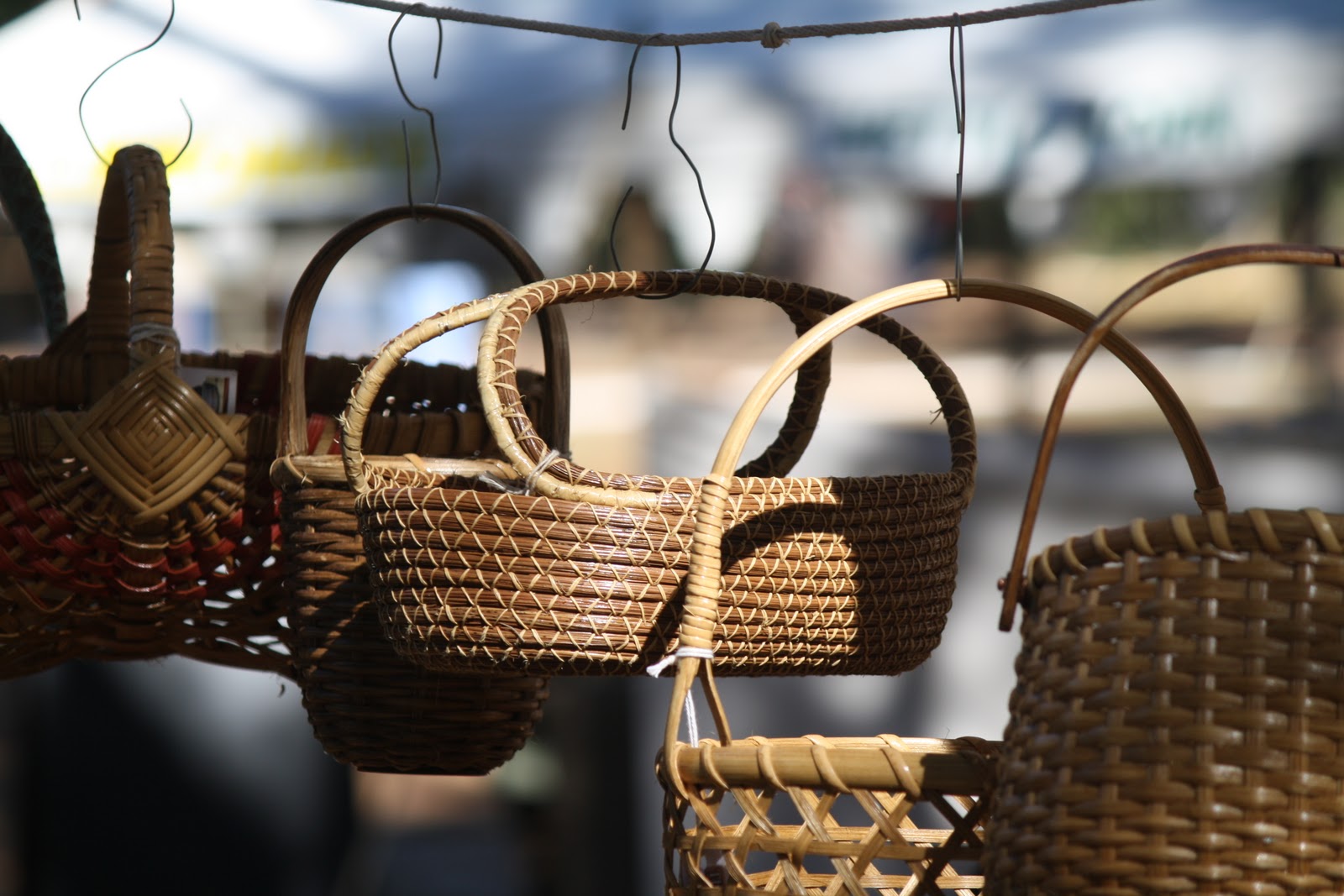 The Blue Whale and Other Travel Tales: Ocali Days at Silver River ...