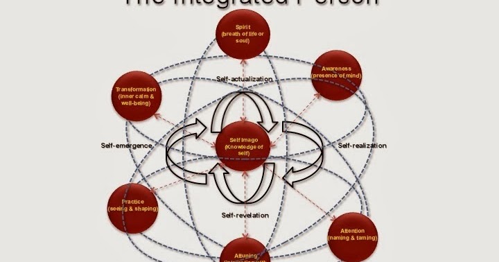 The ∫ntegrated Person: Contact Information