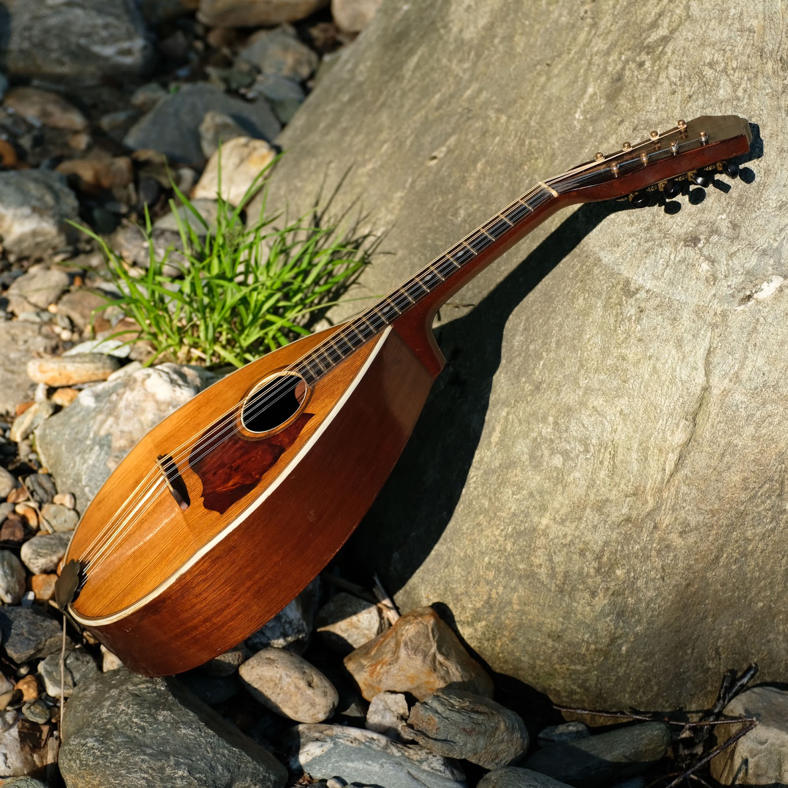 1920s Favilla Flatback Mandolin