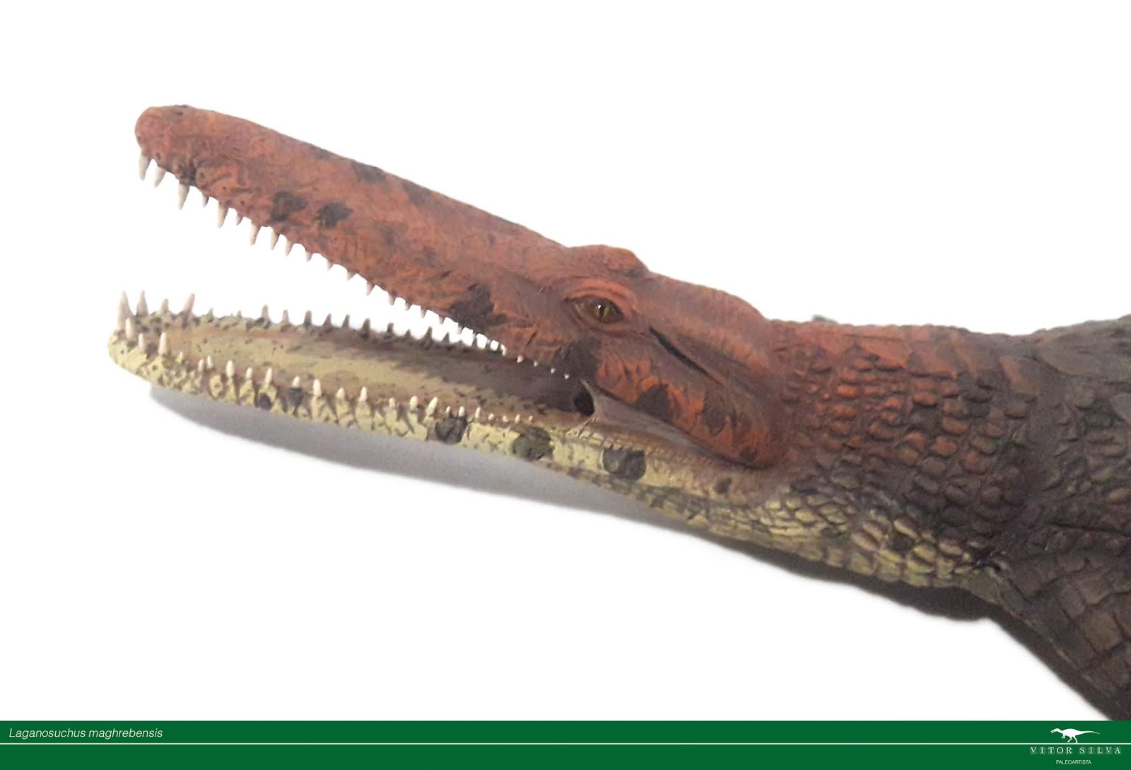 Vitor Silva - Paleoartista: Laganosuchus