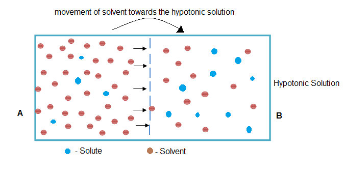 Hypotonic Solution