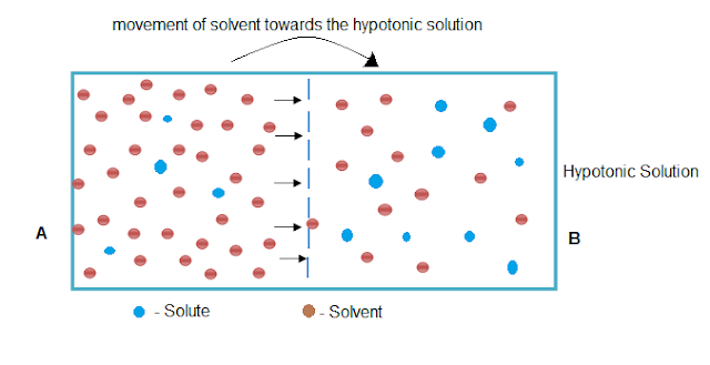 Hypotonic Solution
