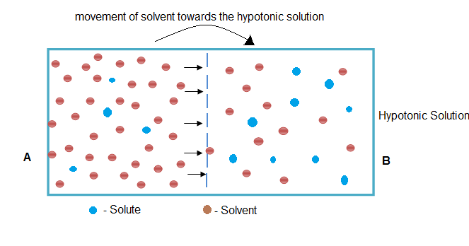 Hypotonic Solution