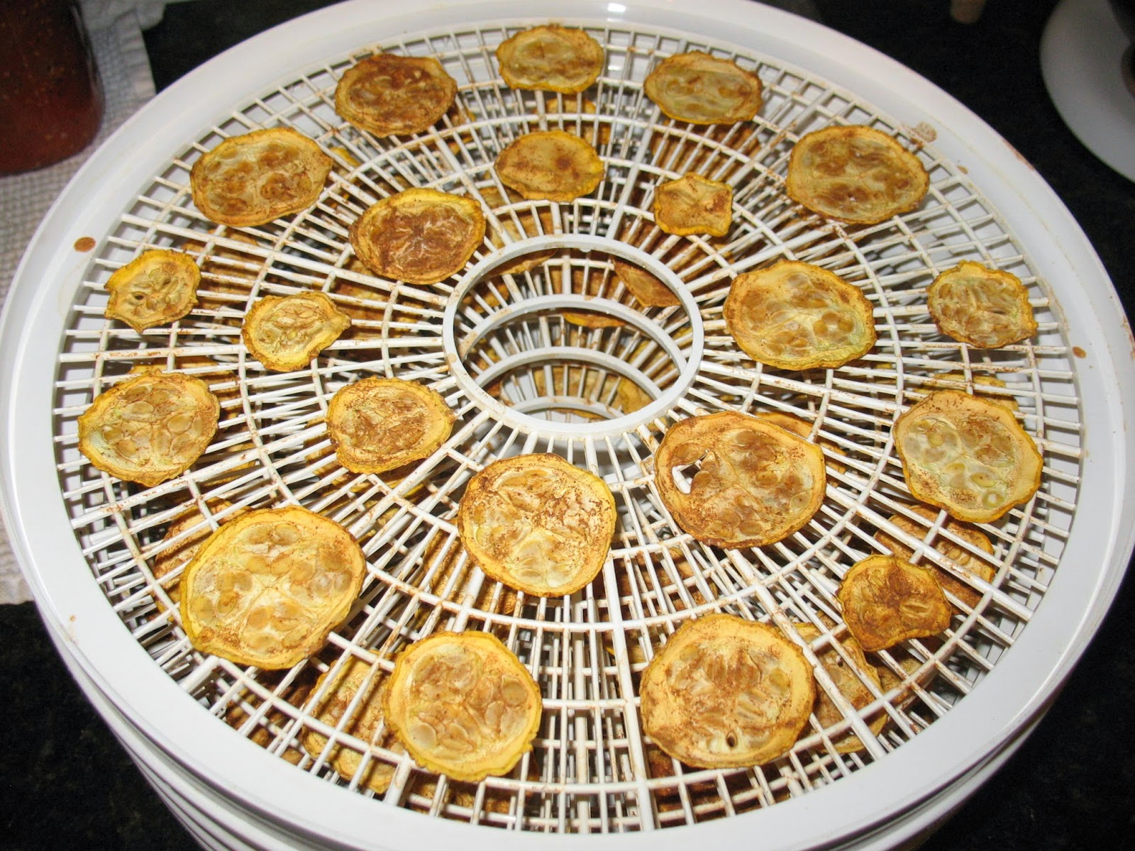 Sensible Survival: Chili-Lime Squash Chips – A Healthy Snack from the ...