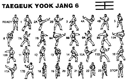 MAGOS TAEKWONDO: TAEGUK